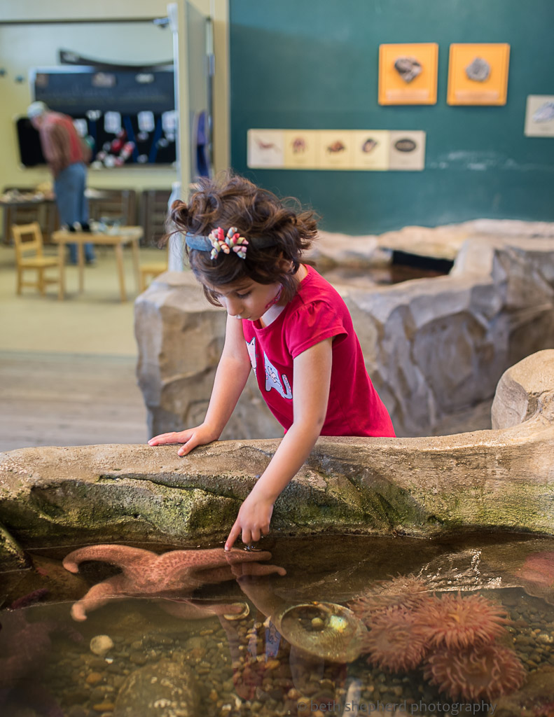 Kids love the cool pools: Port Townsend Marine Science Center